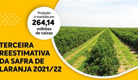 Reestimativa da safra de laranja 2021 22 mantém projeção de 264 14