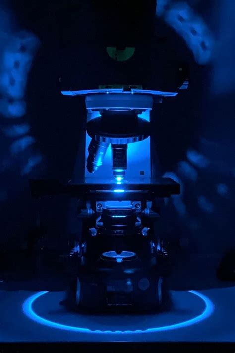 How To Draw A Microscope Step By Step Microscope Detective
