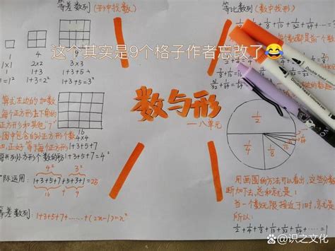 数与形思维导图六年级上册 数与形思维导图简单 图片 网专笔记