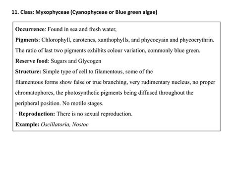 Algae Classification Pptx