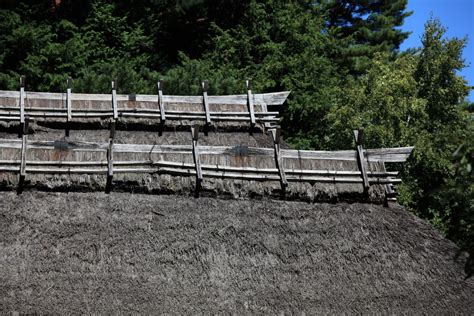 Free Images Landscape Tree Plant Wood Track Roof High Vehicle