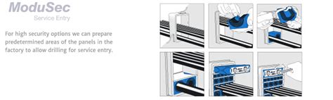 Modusec Service Entry Options Remtech