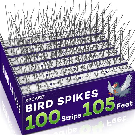 7 Best Bird Deterrent For Roof Stop Nesting Mess Fast