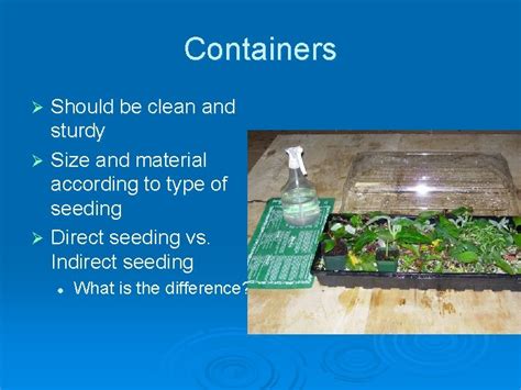 Plant Propagation Sexual Propagation What Is Sexual Propagation