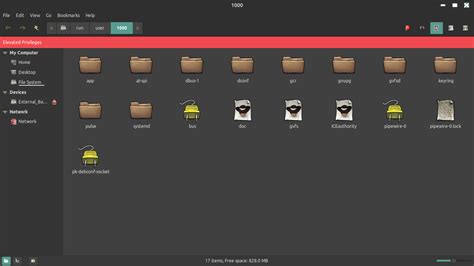 Downloads Default Pathway Seems To Be A Root Folder Linux Mint It S Foss Community