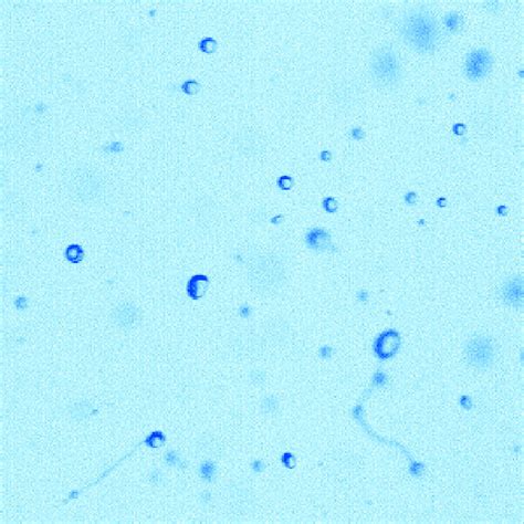 Illustrations Of The Droplet Detection Method Used In The Present Work Download Scientific