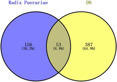 Venn Diagram Of Targets Of Radix Puerariae And Dn Download
