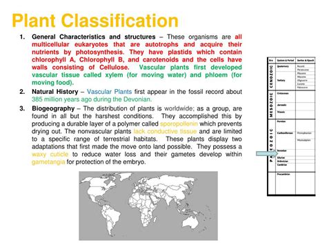 Ppt Fungi Classification Powerpoint Presentation Free Download Id