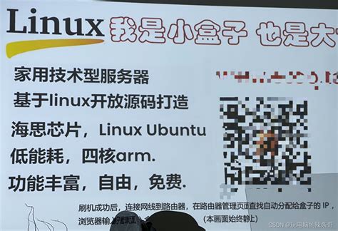 Huawei悦盒ec6108v9c 如何刷成海纳思系统家用低功耗服务器，使用home Assistant服务 Csdn博客