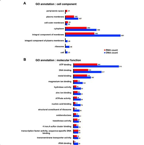 bacterial go annotations most represented go annotation in bacterial