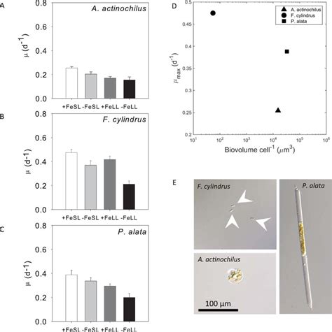 Comparison Of Specific Growth Rates And Cell Biovolume Three Diatom