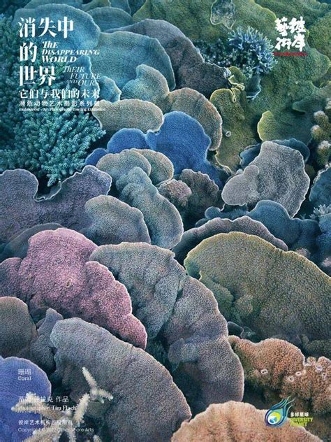世界海洋日 新深度唤醒，让我们一起去“深海探秘”！全球人类生物