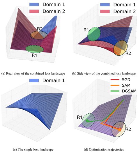 論文レビュー Dgsam Domain Generalization Via Individual Sharpness Aware