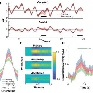A The Event Related Potentials ERP For Experiment 2 ERP Signals Download Scientific