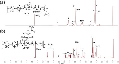 Highly Elastic Biodegradable Polyester Based Citrate Rubber For 3d