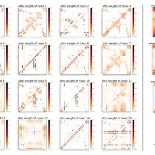 Visualization On Self Attention Map Of Multi Heads Independently