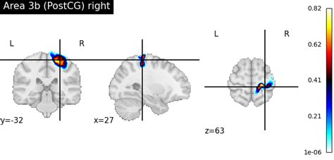 Assigning Coordinates To Brain Regions Siibra Python Documentation