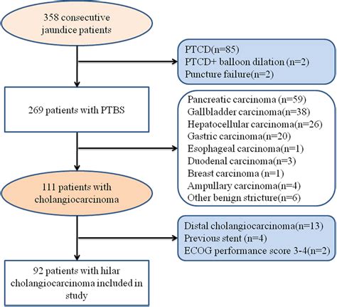 Percutaneous Transhepatic Biliary Stent Implantation For Obstructive Jaundice Of Perihilar