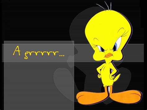 Angry Tweety Bird Fond Décran Titi Fond Décran 5583576 Fanpop
