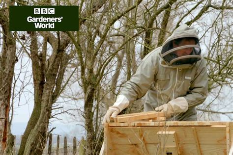 How To Look After Honeybees In Spring Bbc Gardeners World Magazine