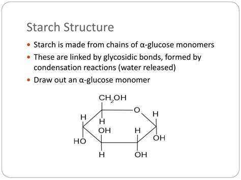Ppt Starch Glycogen And Cellulose Powerpoint Presentation Free