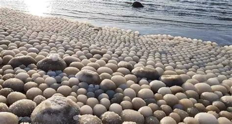 Rare And Spectacular Thousands Of Ice Eggs Discovered On A Finnish