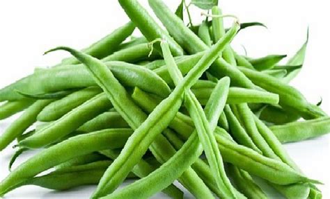 ️harga Buncis Per Kg Terbaru November 2024 Jenis Manfaat Dan Nutrisi