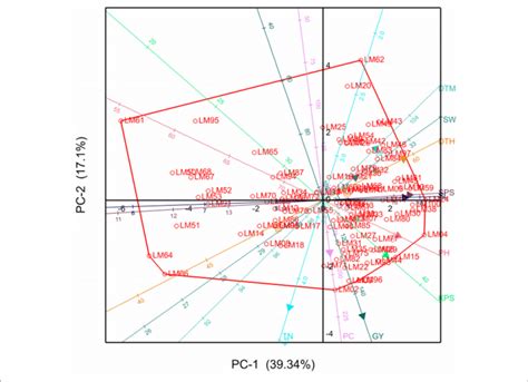 Principal Component Biplot Showing Genotypic Grouping Under Stress