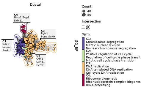 Enrichmentplot — Enrichmentplot • Scop