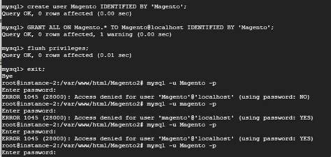 Ultimate Guide To Setup Magento On Google Cloud Hosting Magenticians