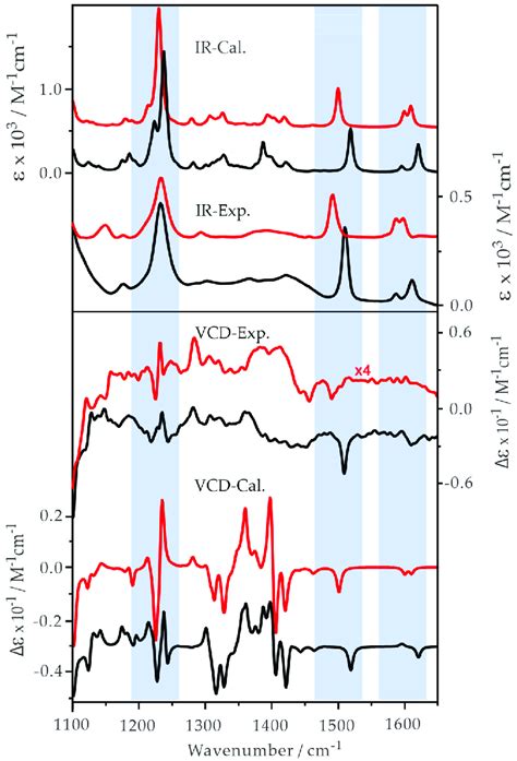 Comparison of the experimental IR and VCD spectra of ph β glu and
