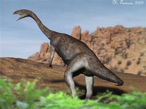 Anchisaurus By Ntamura On Deviantart
