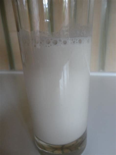 Faire Son Lait De Noix Samtosha Yoga