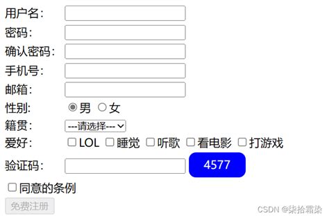 js的快速入门3 表单验证 写一个表单 是用户信息提交界面 里面有用户名 手机号 密码 确认密码 csdn博客