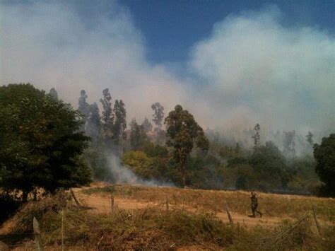 Declaran Alerta Roja Para La Comuna De Casablanca Por Incendio Forestal