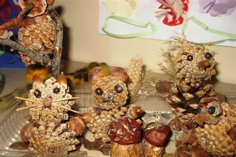 Животни от шишарки За Жената