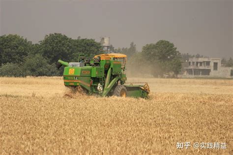 高标准农田？这是在侮辱农民的智商！ 知乎