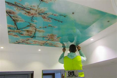 Ceiling Cladding 3 Greenline