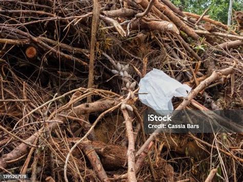 숲에서 잃어버린 비닐 봉지 가방에 대한 스톡 사진 및 기타 이미지 가방 가을 갈색 Istock