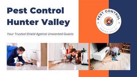 Protect Your Space With Our Strategic Pest Management