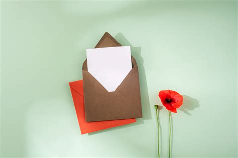 빈 카드와 빨간 양귀비 꽃이 있는 봉투는 밝은 녹색 배경에 그림자가 있습니다 휴일 개념 인사말 카드 초대장 모형 평면도 평지 갈색에 대한 스톡 사진 및 기타 이미지 Istock