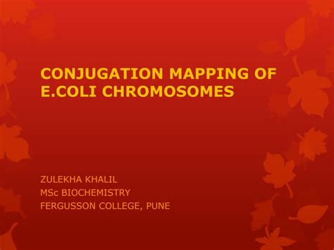 Conjugation Mapping Pptx