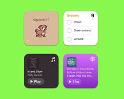 How To Set Interactive Widgets In IOS UTools