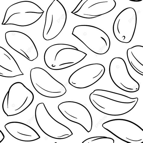 Background Pola Kacang Brazil Di Atas Putih Latar Belakang Alam