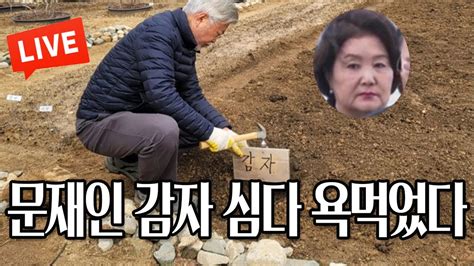 라이브뉴스 문재인 감자 심다 욕먹었다 20230217 Youtube