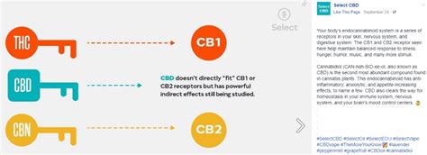 Select Cbd Pen Review Updated Tested 4 Cbd Vape Pens