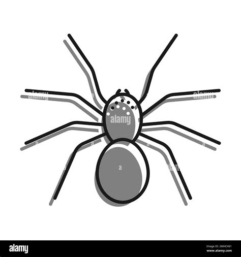 Eight Legged Spider Stock Vector Images Alamy
