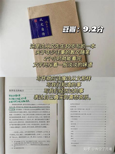 6本书狠狠提升写作力小众却实用实现从文字走向财富自由 知乎