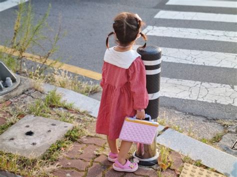 5세여아장난감 추천 시크릿쥬쥬노트북 네이버 블로그