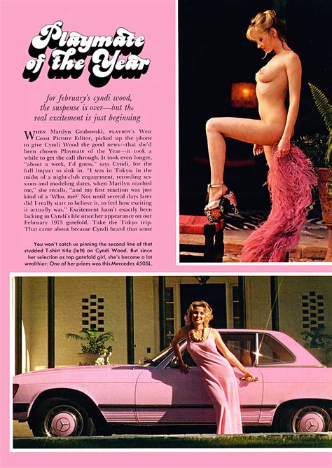 Cyndi Wood Porn Pictures Xxx Photos Sex Images 1670335 Pictoa